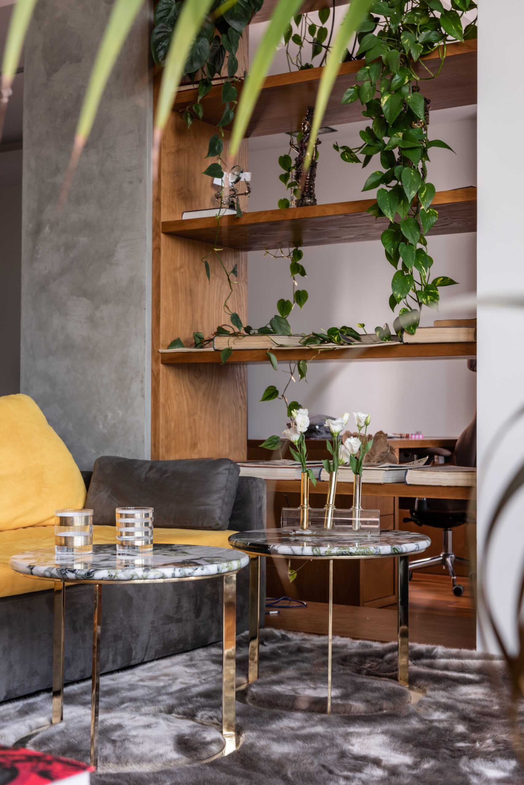 Top 10 Best Indoor Plants to Have for any room: You Can Actually Keep ...
